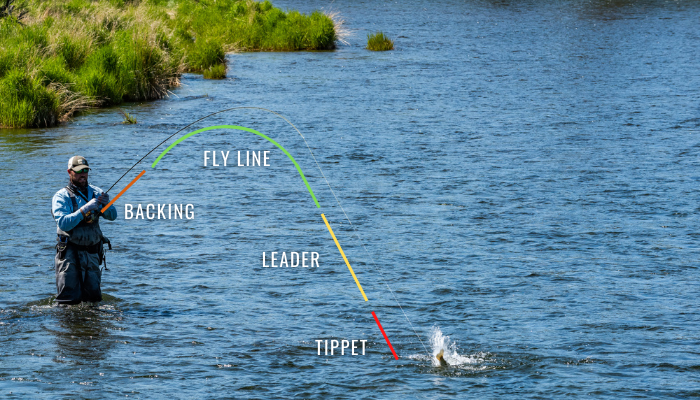 Quality, Affordable Fly Fishing Gear - Got Fishing