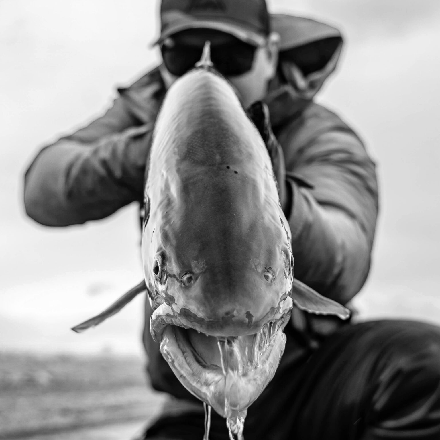 Got Fishing - Got Fishing